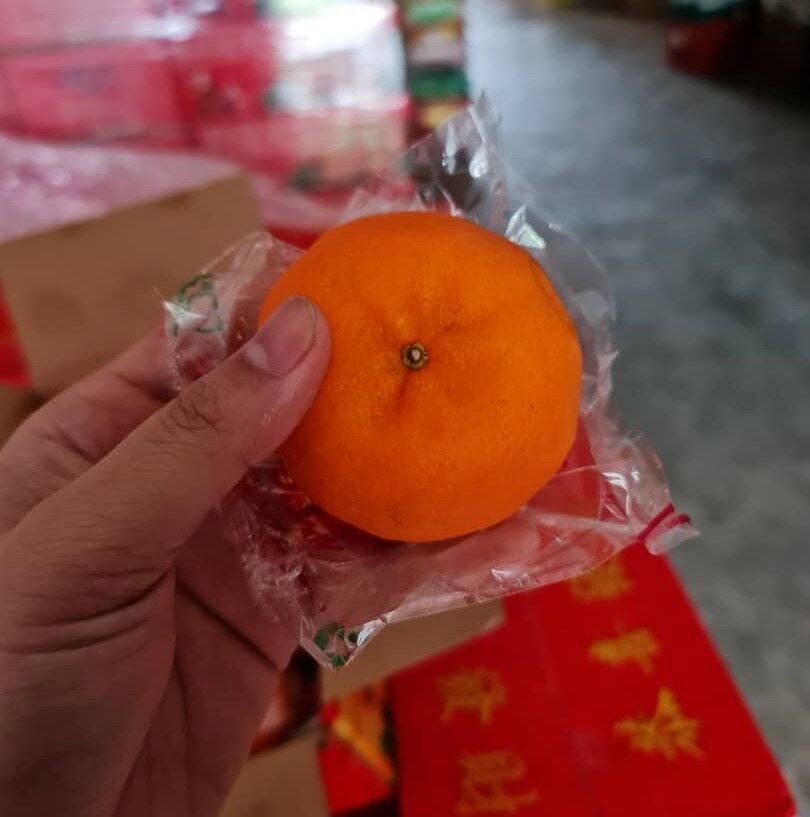 Lokam Yong Chun Citrus Ponkan Limau Madarin 芦柑 (L Size) | Lazada
