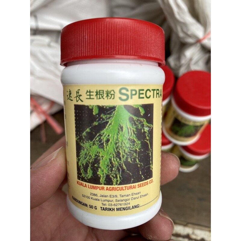 Spectra Plant Root Rooting Hormone Powder Hormon Pertumbuhan Akar 万能生根粉 ...