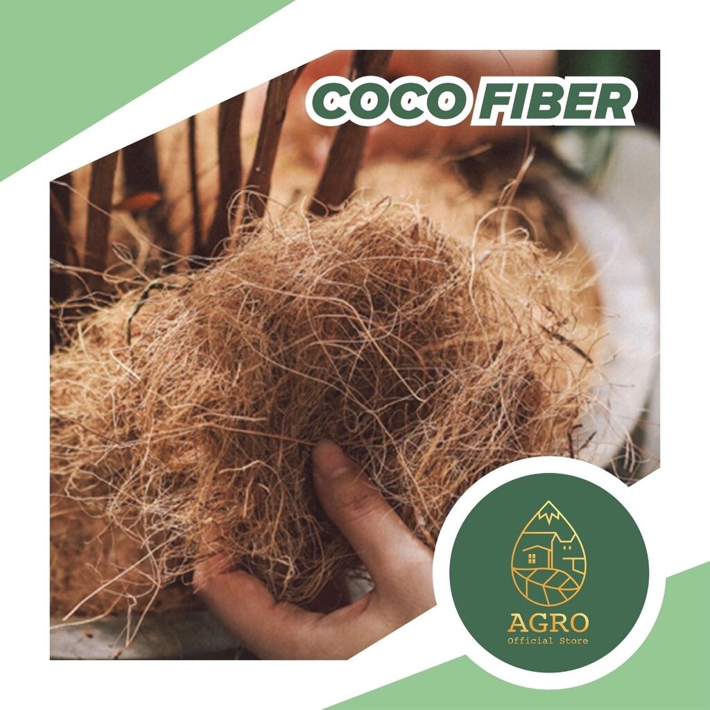 Coconut Coco Long Fiber Cocofibre Sabut Kelapa 椰丝纤维 6L | Lazada