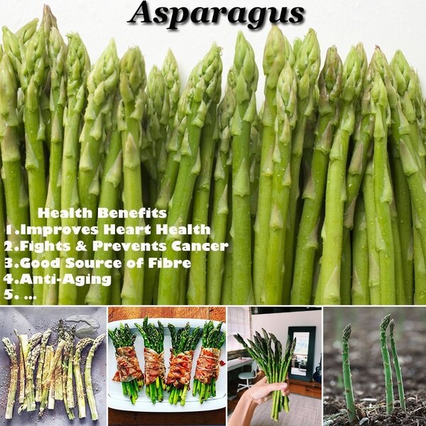 [GRAB NOW!] 50pcs Organic Asparagus Seeds Vegetable Plants for Sale ...