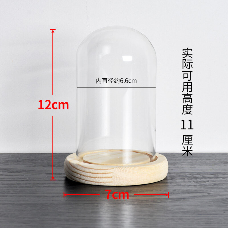 Blind box storage display shelf bubble Matt Molly glass jasmine doll ...