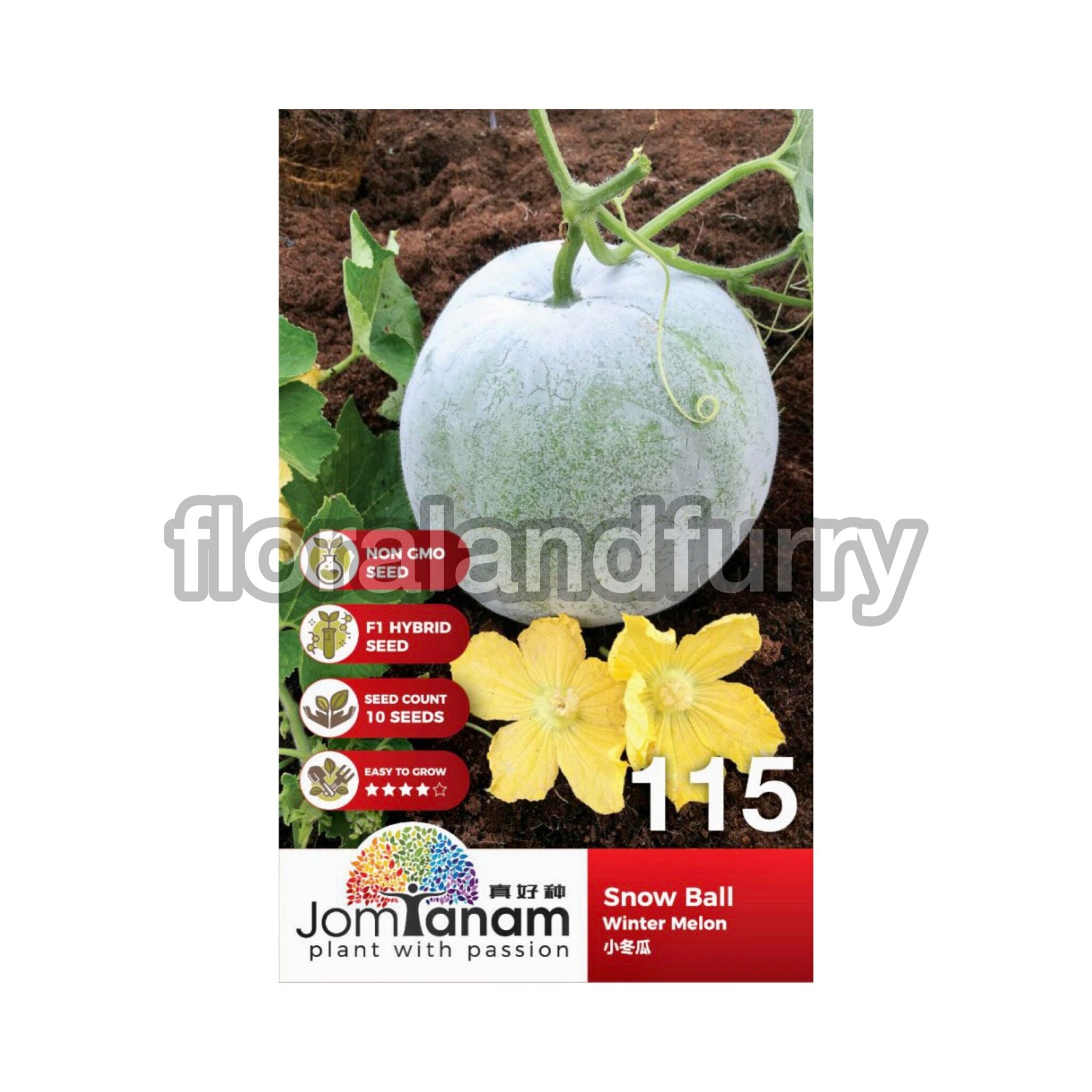 Jom Tanam Biji Benih Sayur Sayuran Jagung Terung Timun Cili Kacang ...