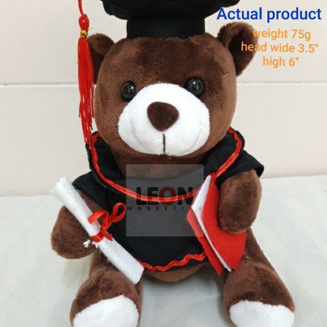 6.5" Graduation/Convocation Bear- NS Bear, Patung Konvo 博士熊 | Lazada