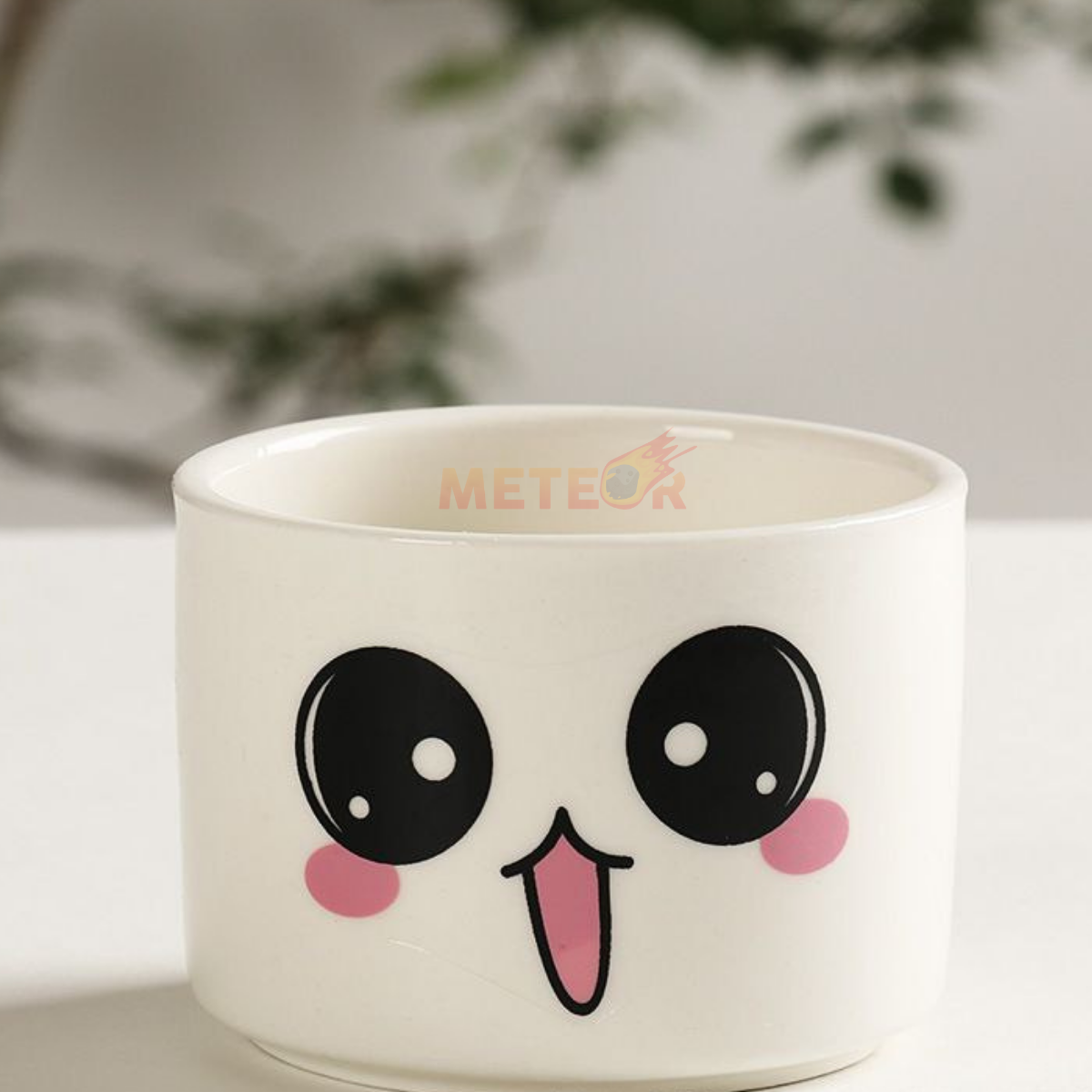 Emoji Smiley Face Ceramic Succulent Pot Cute Cartoon Pasu | Lazada