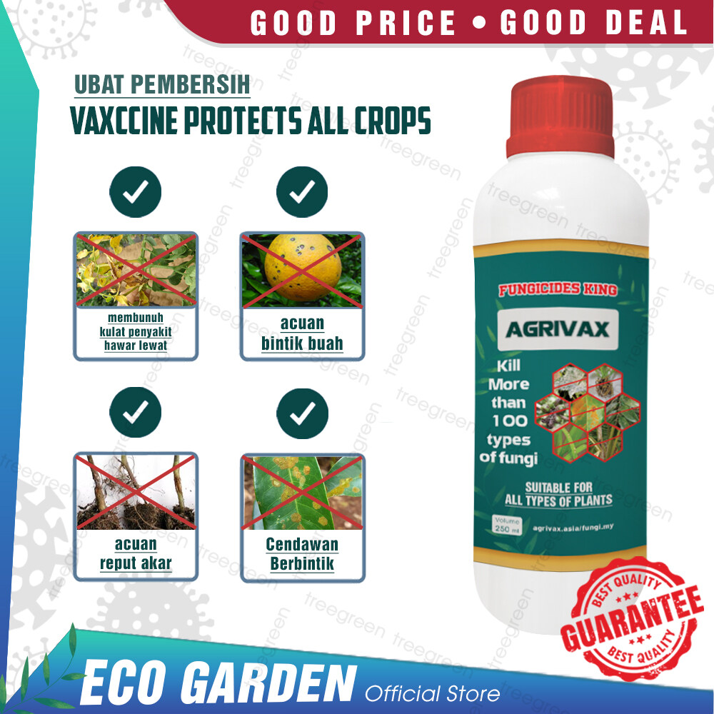 Antifungal Agrivax, agen antikulat untuk tanaman, agen antikulat untuk ...
