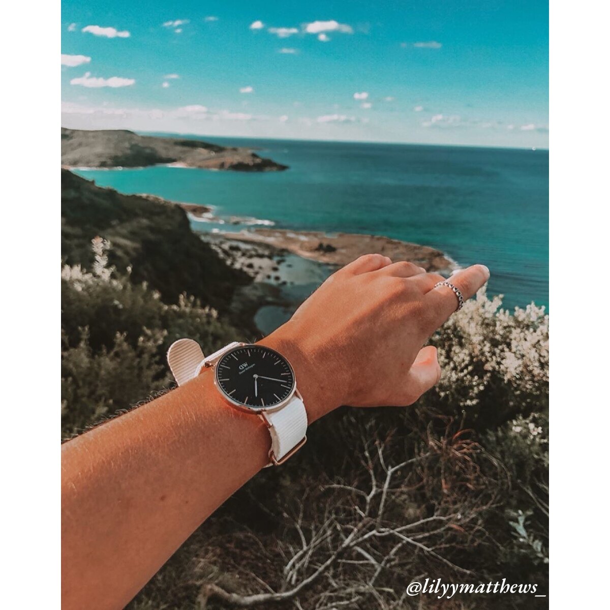 Daniel Wellington Petite Dover 28/32mm Rose gold Black - DW Watch for ...