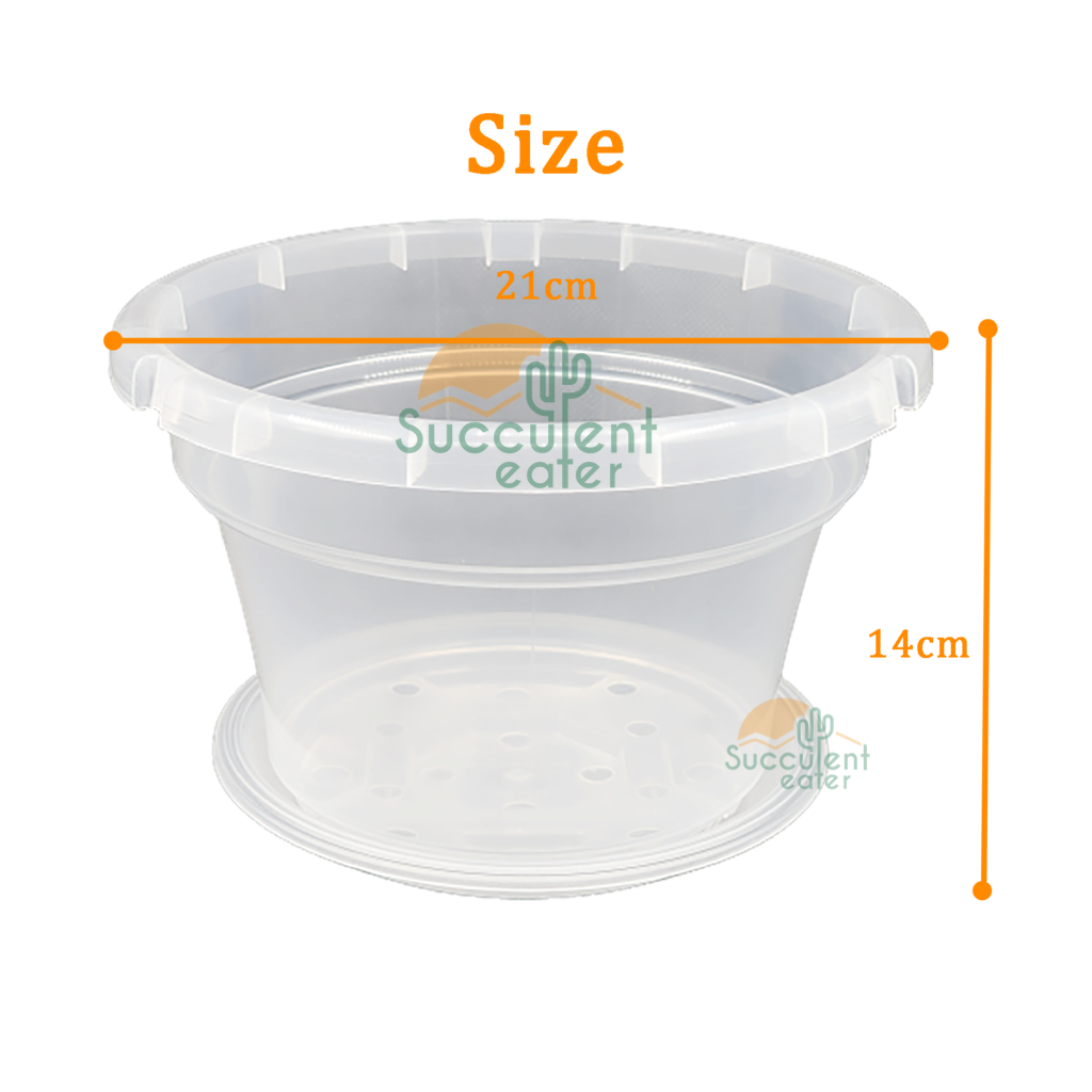 Octo Transparent Translucent Series Flower Pot Gardening Hydroponics ...