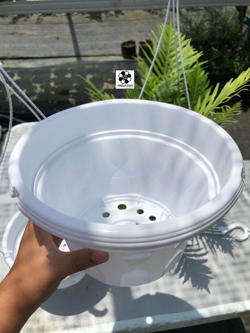 MDC- [ Garden Tools ] PASU BABA BABA SC-220 Pot White / Biodegradable ...