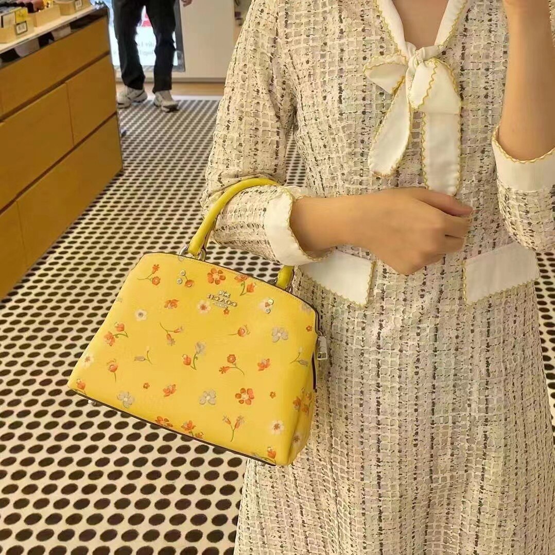 Coach one-shoulder messenger bag women fashion clamshell organ bag ...