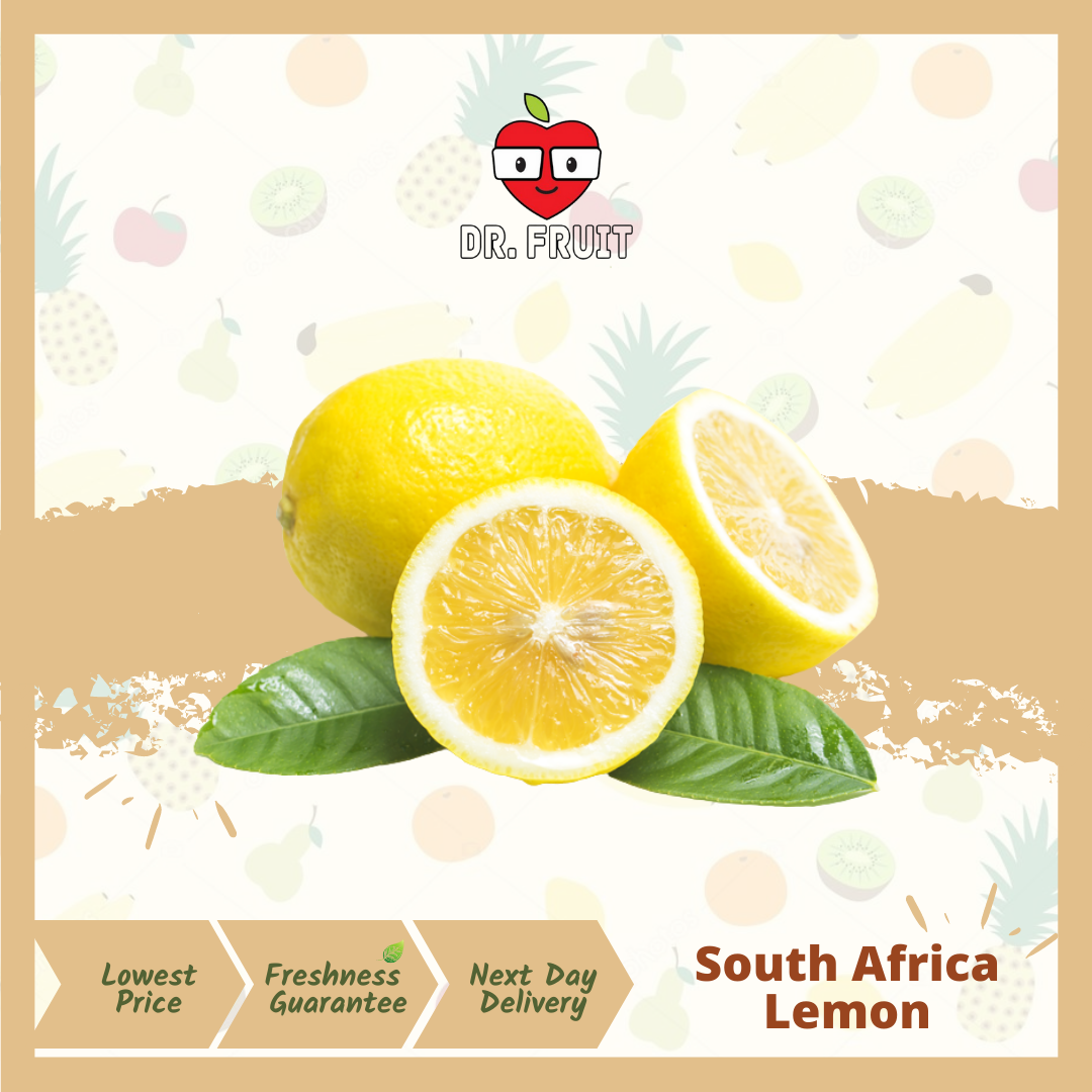 South Africa Lemon 南非柠檬 - 8pcs/pack | Dr.fruit /Limau | Lazada