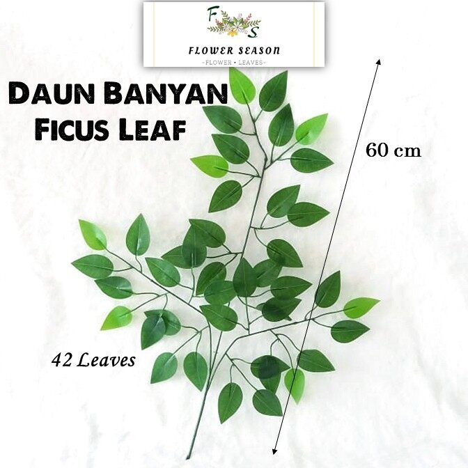 [Ready Stock] Artificial Green Ficus Leaf 60cm / Daun Banyan Hiasan ...