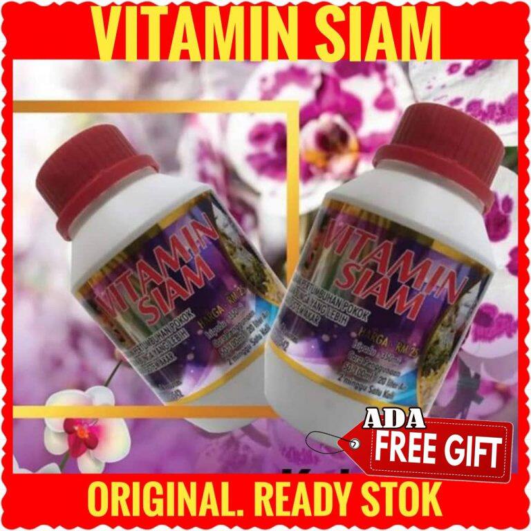 Vitamin Siam PATI organik Raja Baja | Lazada