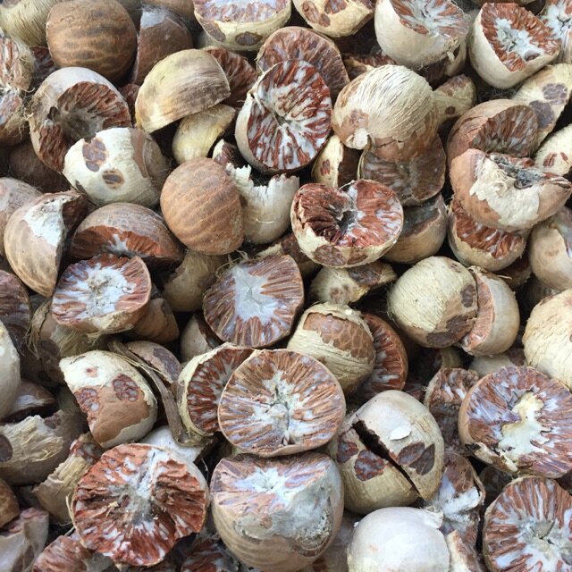 Buah Pinang Kering Siap Dikacip 1kg | Lazada