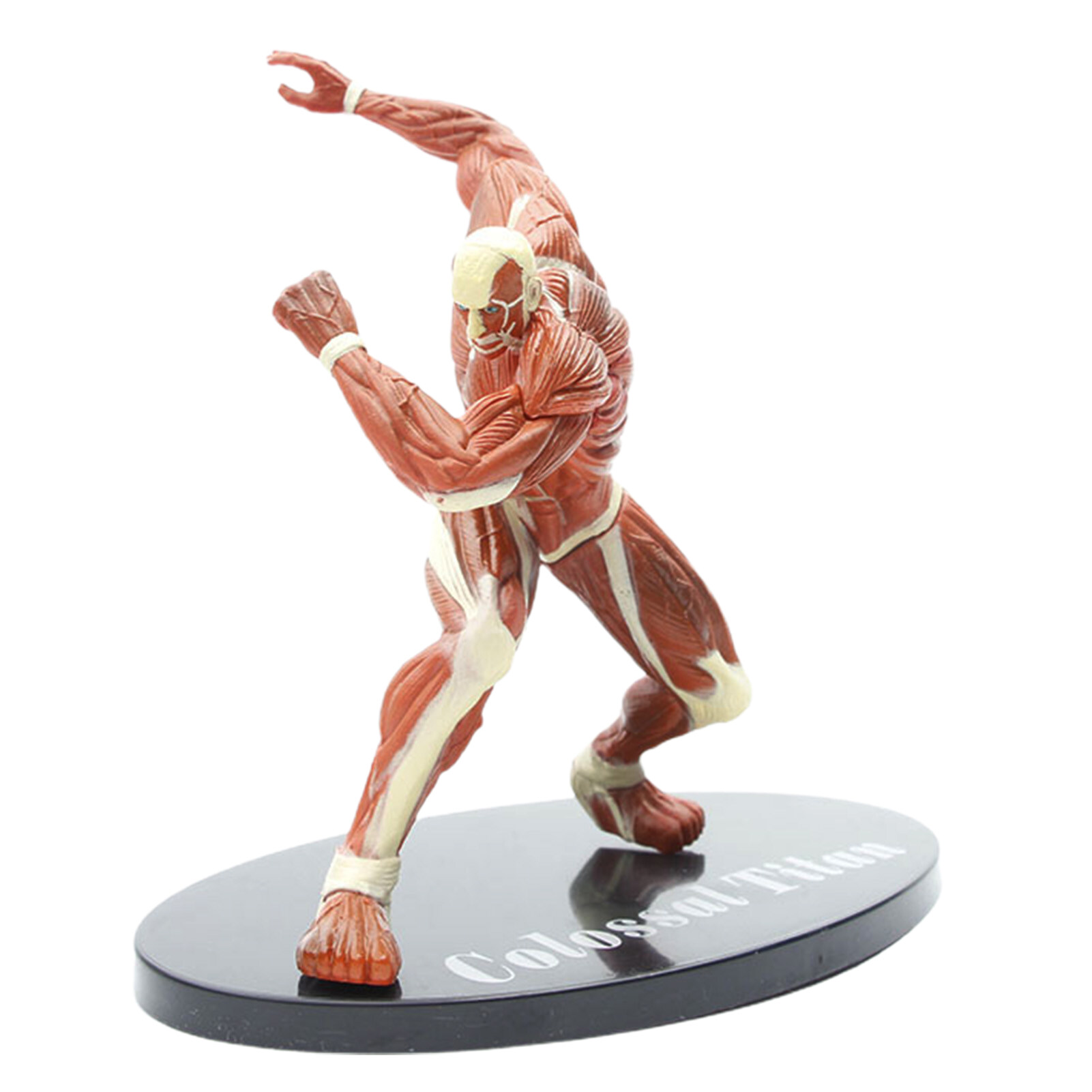 microgood Model Toy Good Craftsmanship Simulated PVC Attack on Titan Colossal Titan Figure for ...