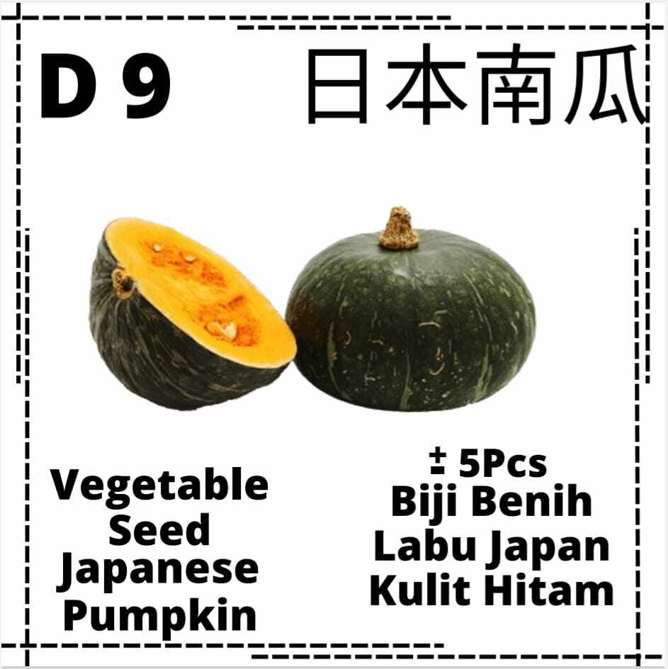 Japanese Pumpkin Labu Jepun日本南瓜种子 Biji Benih Vege Sayur sayuran ...