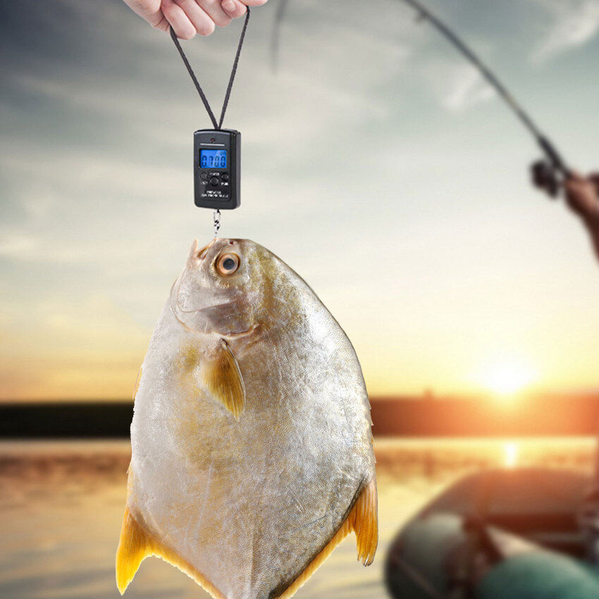 40kg X 5g Mini Digital Scale For Fishing Luggage Travel Weighting ...