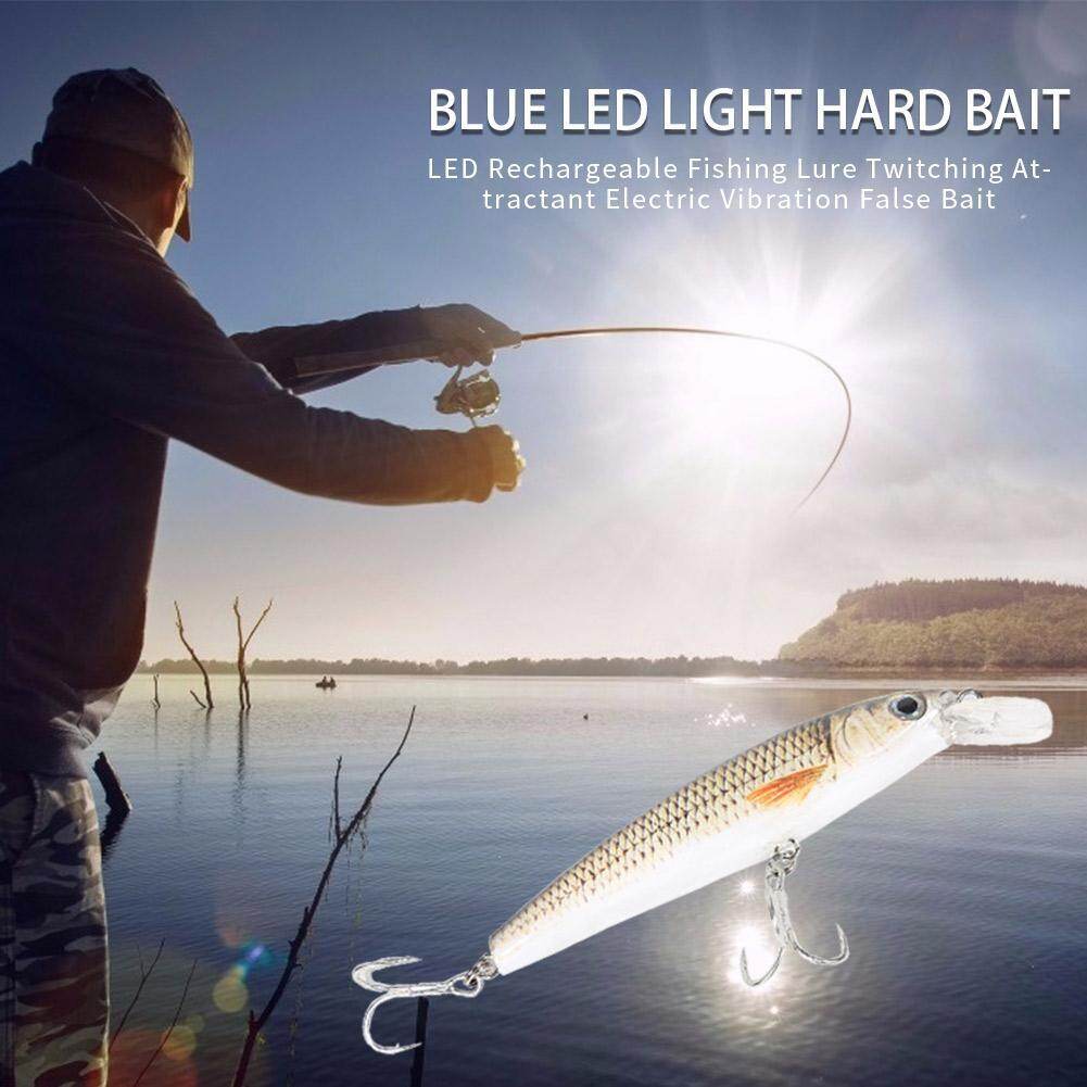 SH Electric Vibration Fishing Lure Blue LED Rechargeable Attractant ...