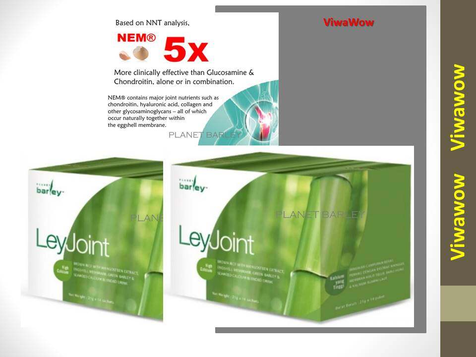 Planet Barley - LeyJoint (21g x 14 Sachets) 5X more effective than ...