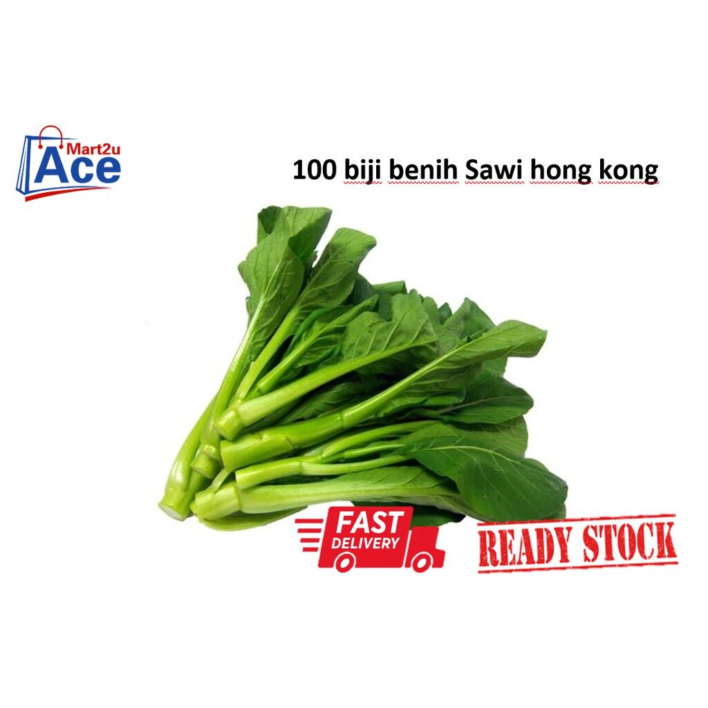(It's a seed, not a plant!) Sawi Hong Kong senang ditanam Biji benih ...