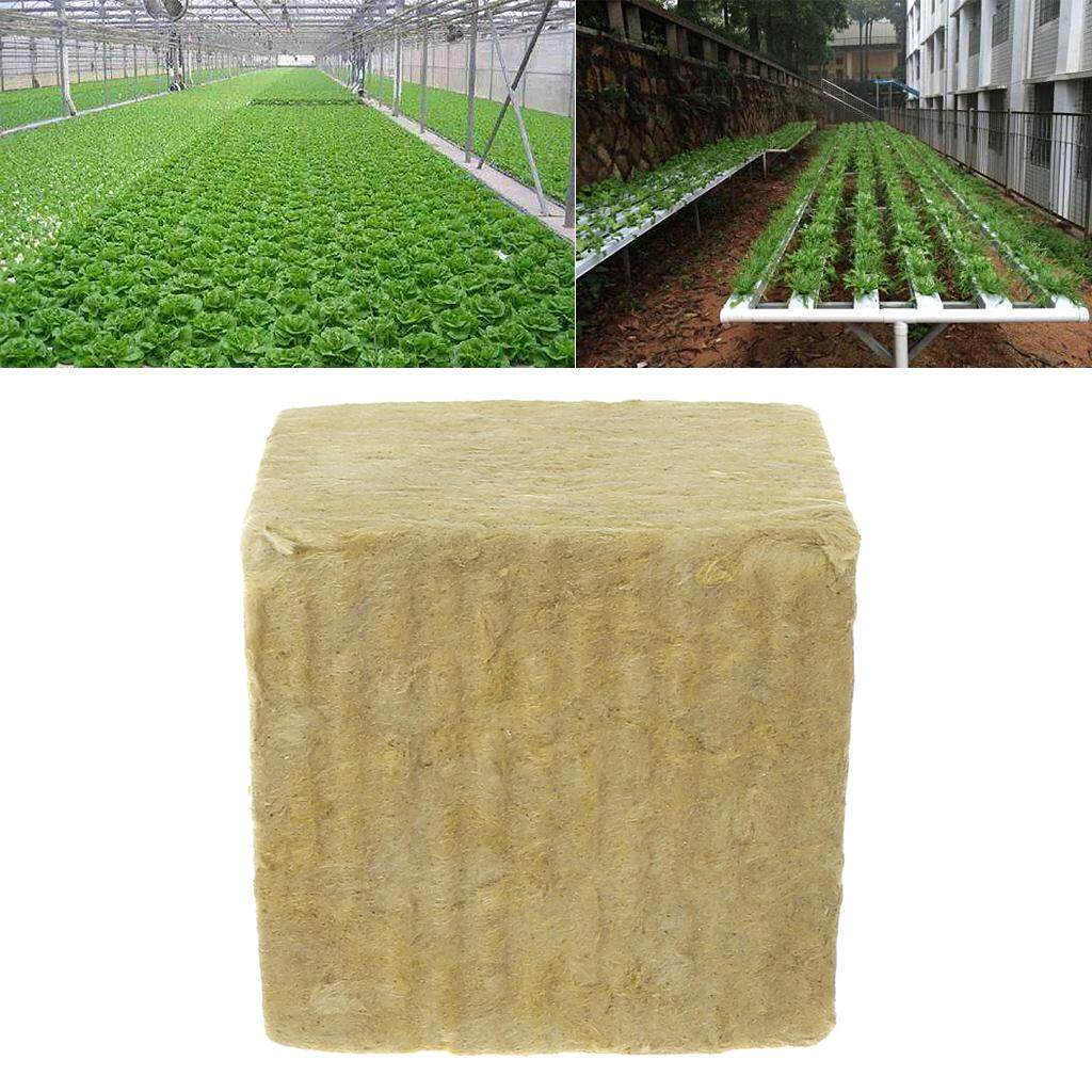 Rockwool Cubes hydroponic growth medium soilless cultivation planting ...