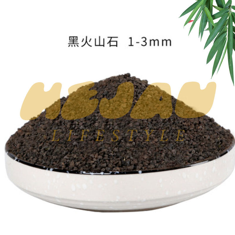 【24H SHIP OUT】Aquarium Red Lava Rock Filter Media /Succulent Volcano ...