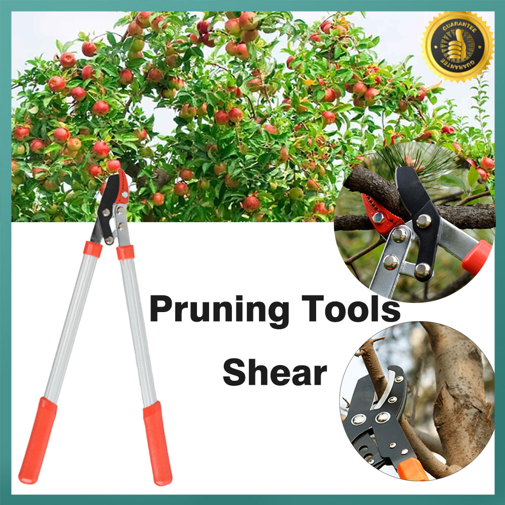 Pruning Tools Telescopic Tree Ratchet Lopper Pruner Extending Garden ...
