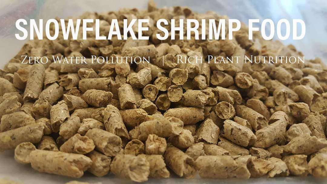🔥READYSTOCK🔥SNOWFLAKE SHRIMP FOOD - 50G Neocaridna and Caridina shrimp ...
