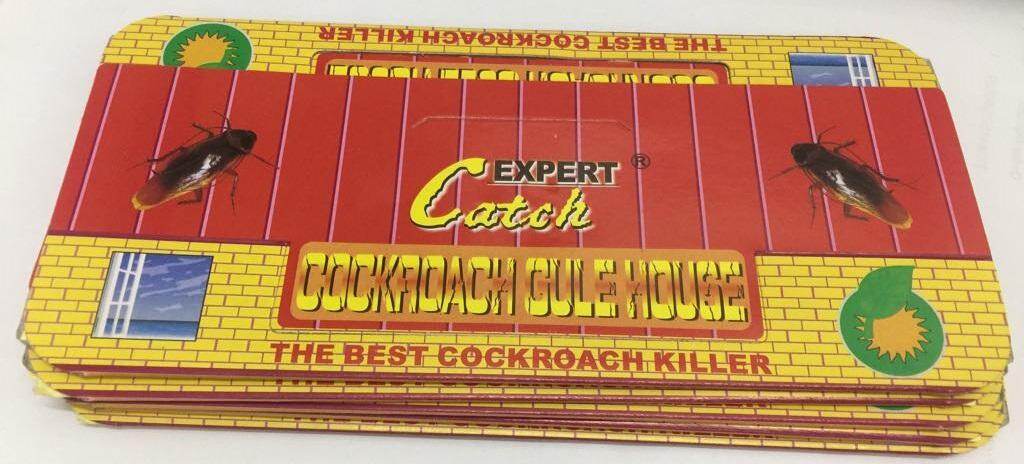 5pcs EXPERT Catch Disposable cockroach house trap | Lazada