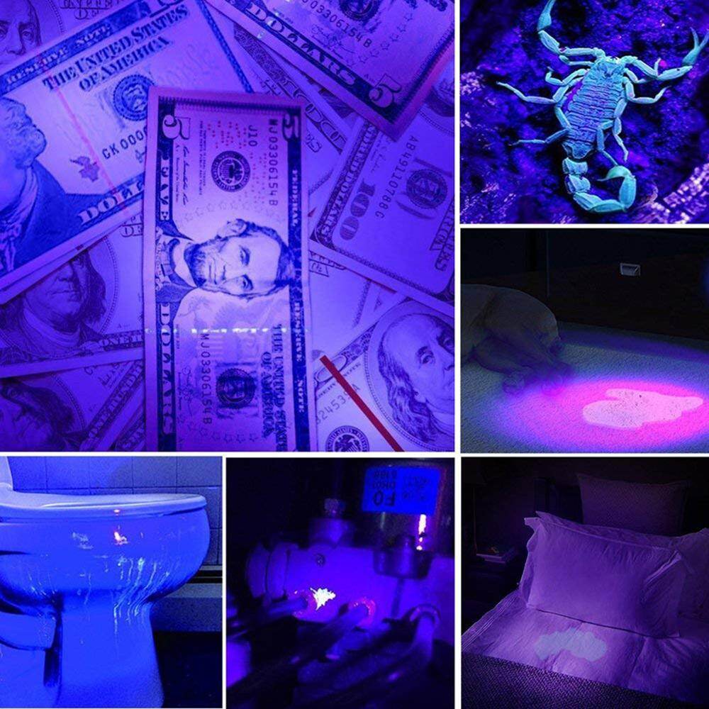 Portable UV Flashlight Ultraviolet LED Light Zoom Mini Torch Light ...