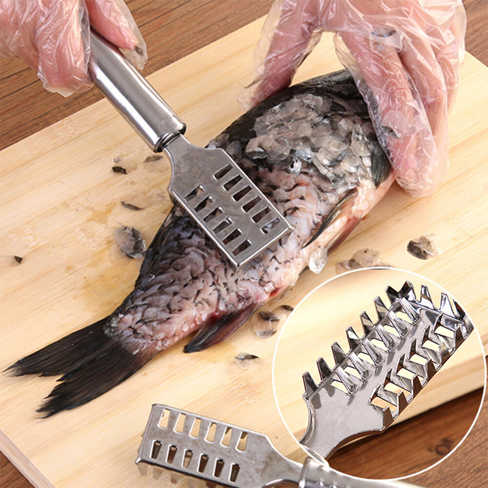 Fish Scaler Brush Stainless Steel Fish Scale Remover Scraper Scales ...