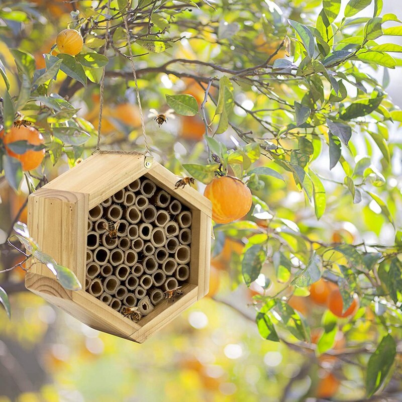 Handmade Natural Bamboo Bee Hive Mason Bee House Attracts Peaceful Bee ...
