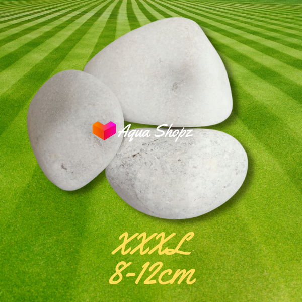 White Stone / Batu Putih River Pebble Gardening Landscape Aquarium ...