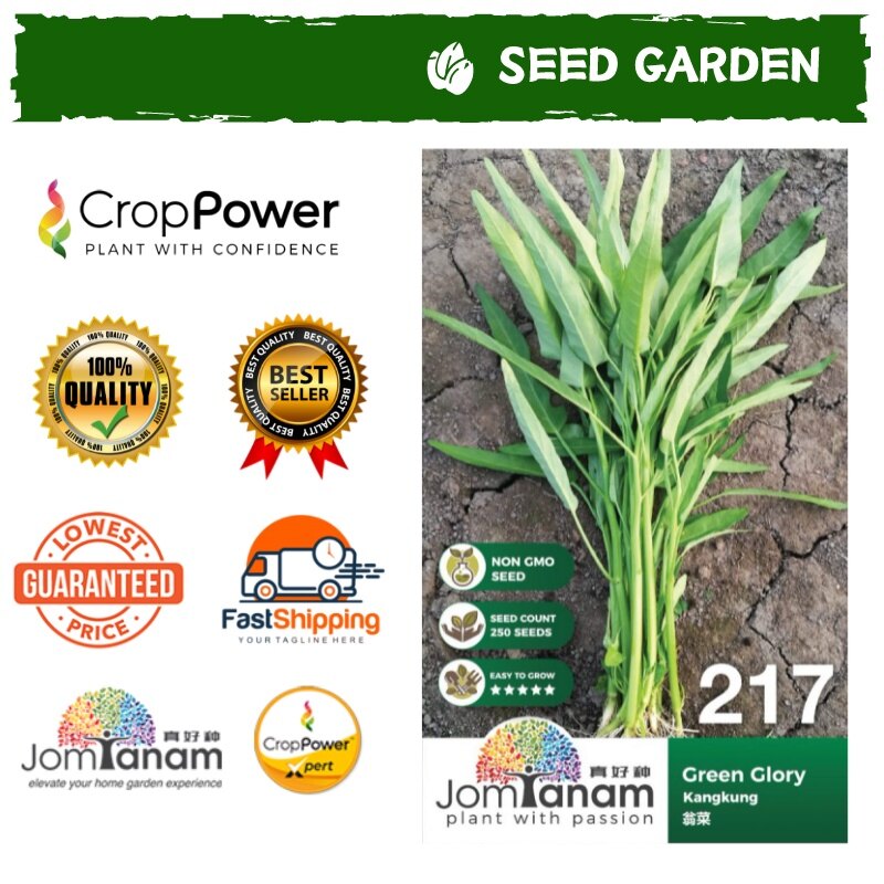 Kangkung Green Glory 蕹菜 Jom Tanam by Crop Power JT217 | Lazada