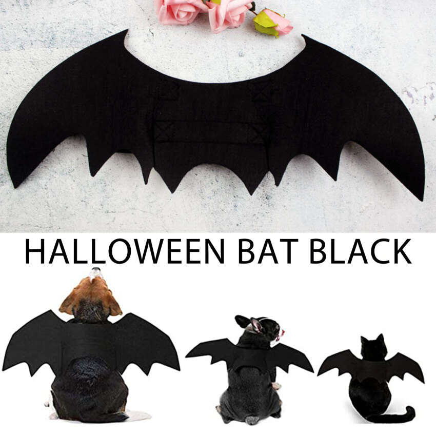 Pet Cat Bat Wings Halloween Party Decoration, Puppy Collar Guide ...