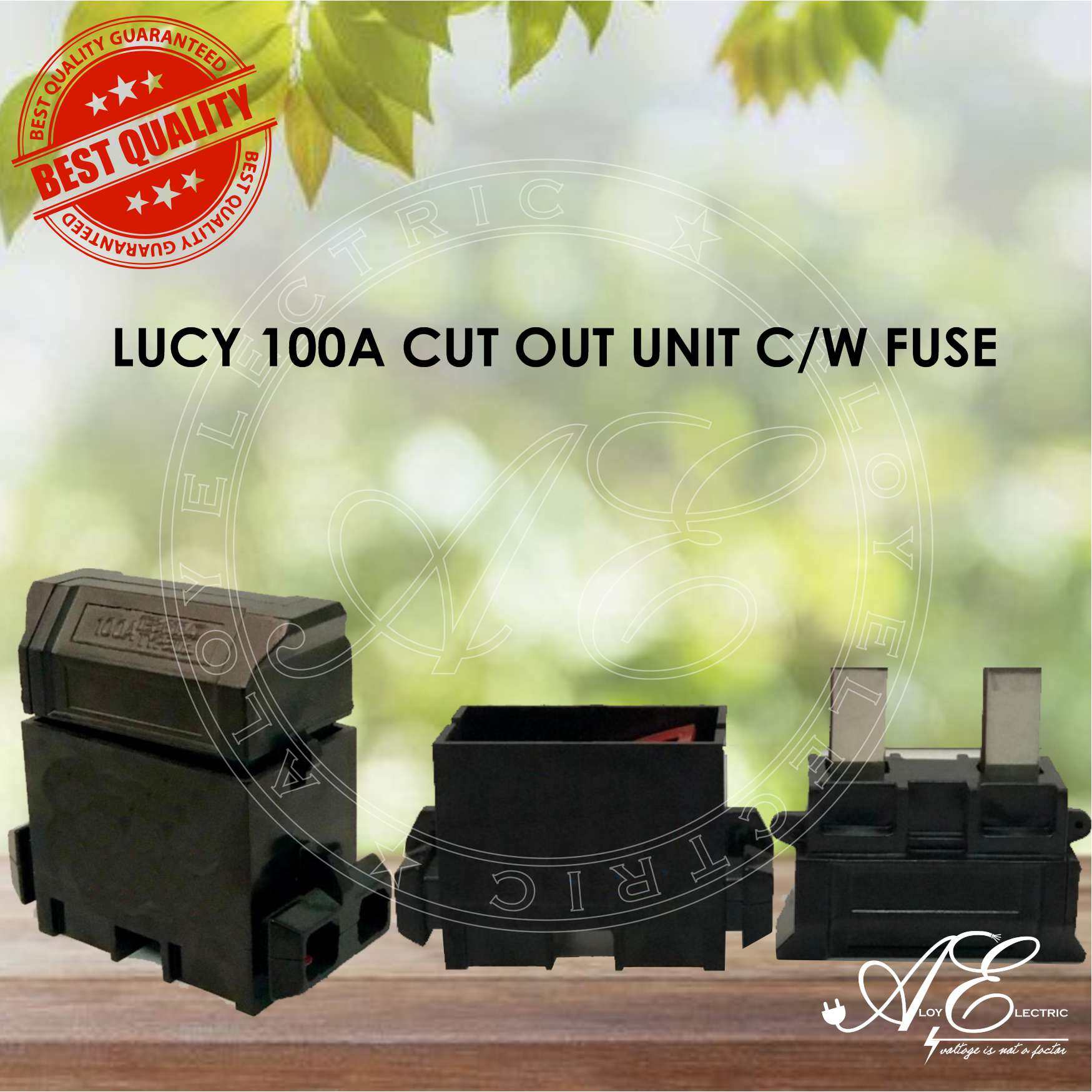 LUCY CUT OUT FUSE 60A / 100A | Lazada