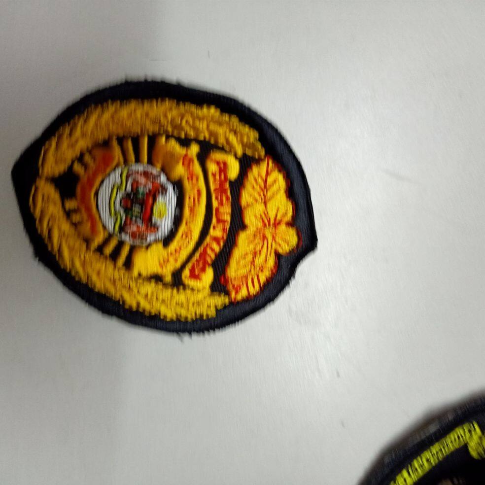 logo sulam kesihatan | Lazada