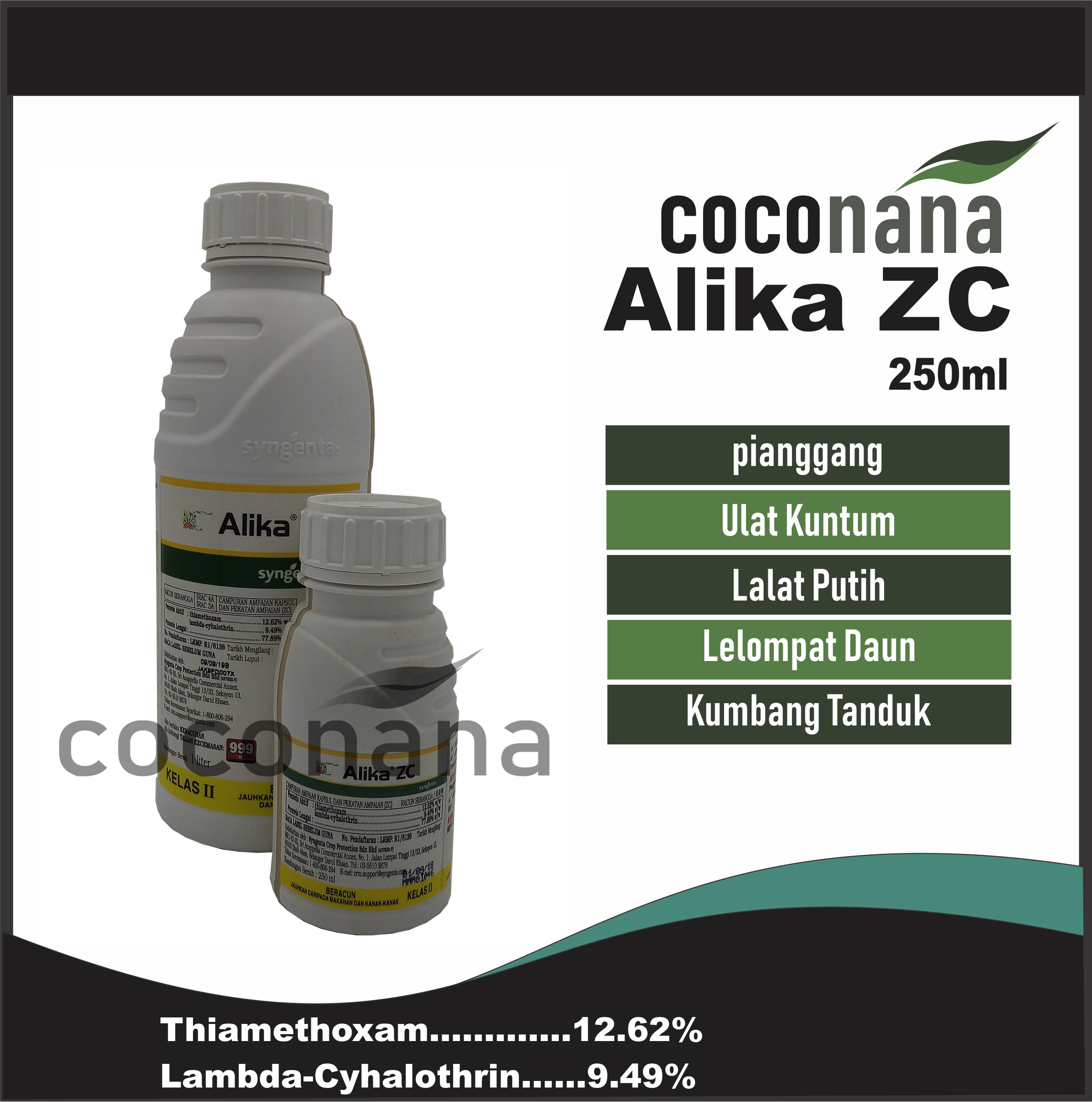 Alika ZC | Lazada