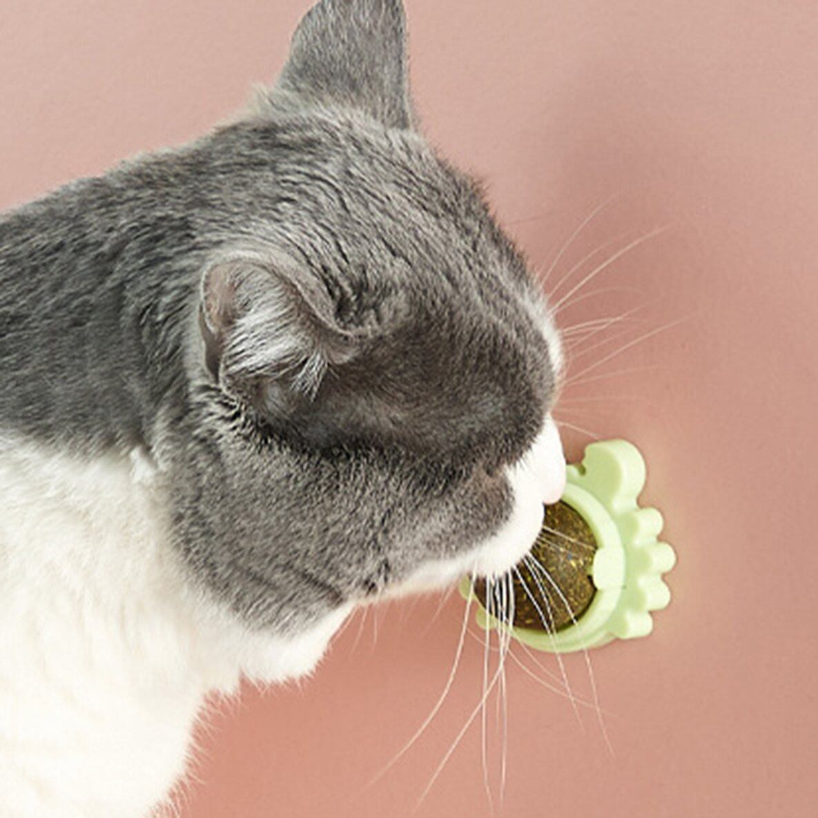 Cat Catnip Toys Crabs 360 Degrees Rotation Natural Pet Chewing Toy ...