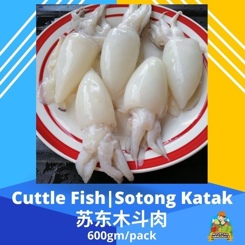 Frozen Local Squid Cuttle Fish/木斗鱿鱼 600gm/block - sotong katak tempatan ...