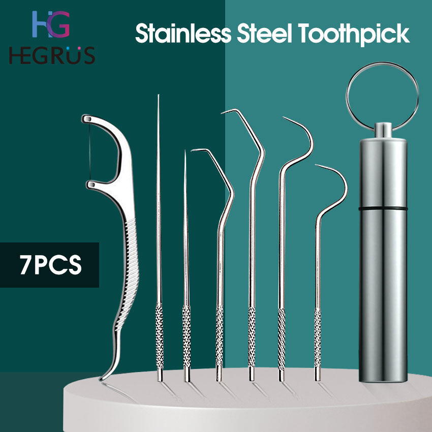 HEGRUS Toothpick Stainless Steel Toothpick Oral Cleaning Tooth Flossing ...