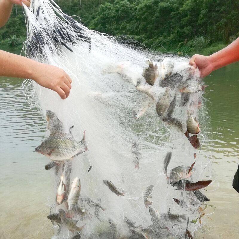 Jaring ikan, jaring lengket, jaring kawat, jaring cekung tiga lapis ...