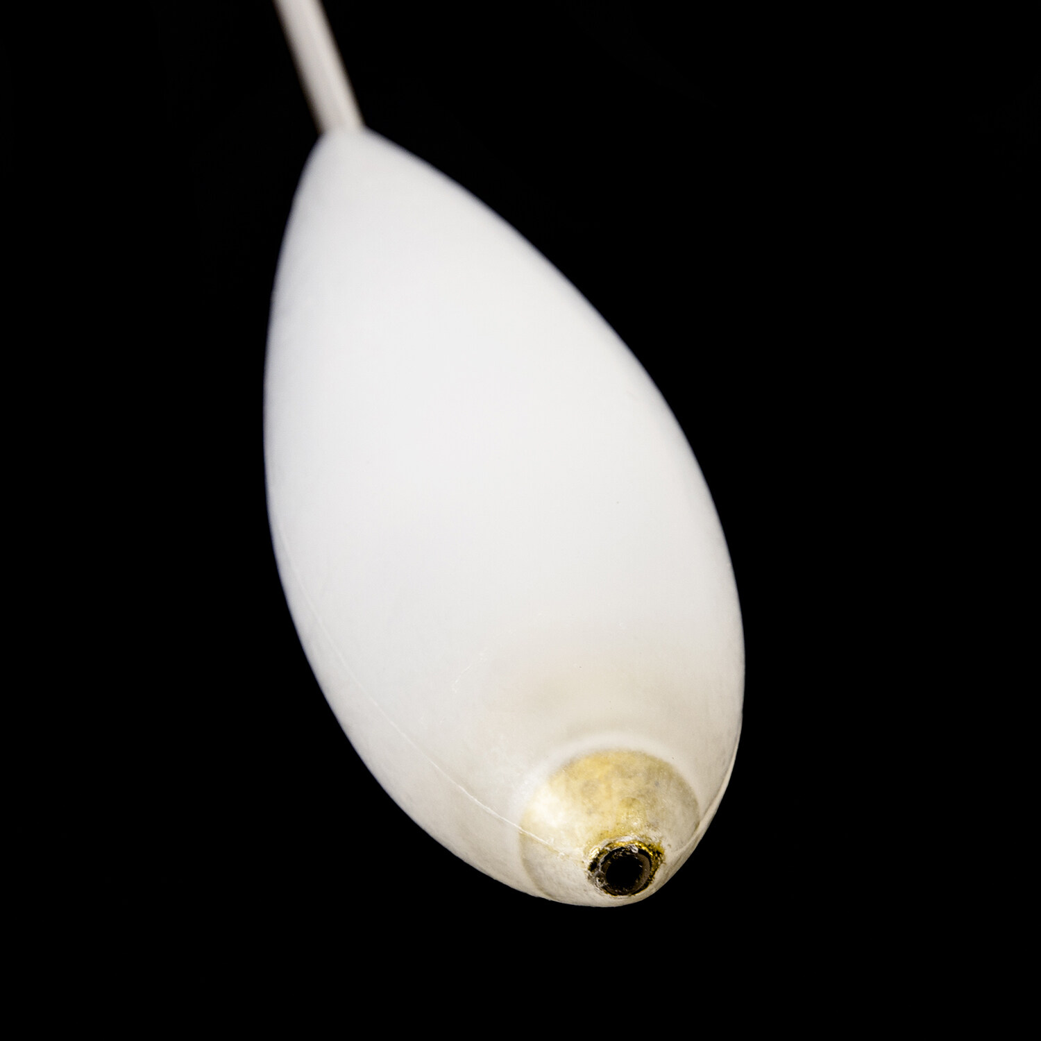 Plastic Casting Bombarda Inline Surface Float Carp Fishing Terminal ...