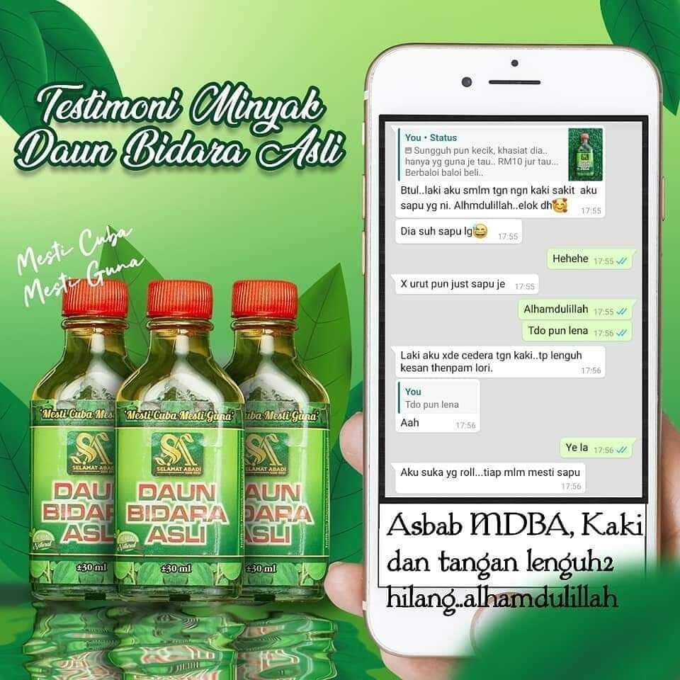 Minyak Daun Bidara Asli Original (3Botol) | Lazada
