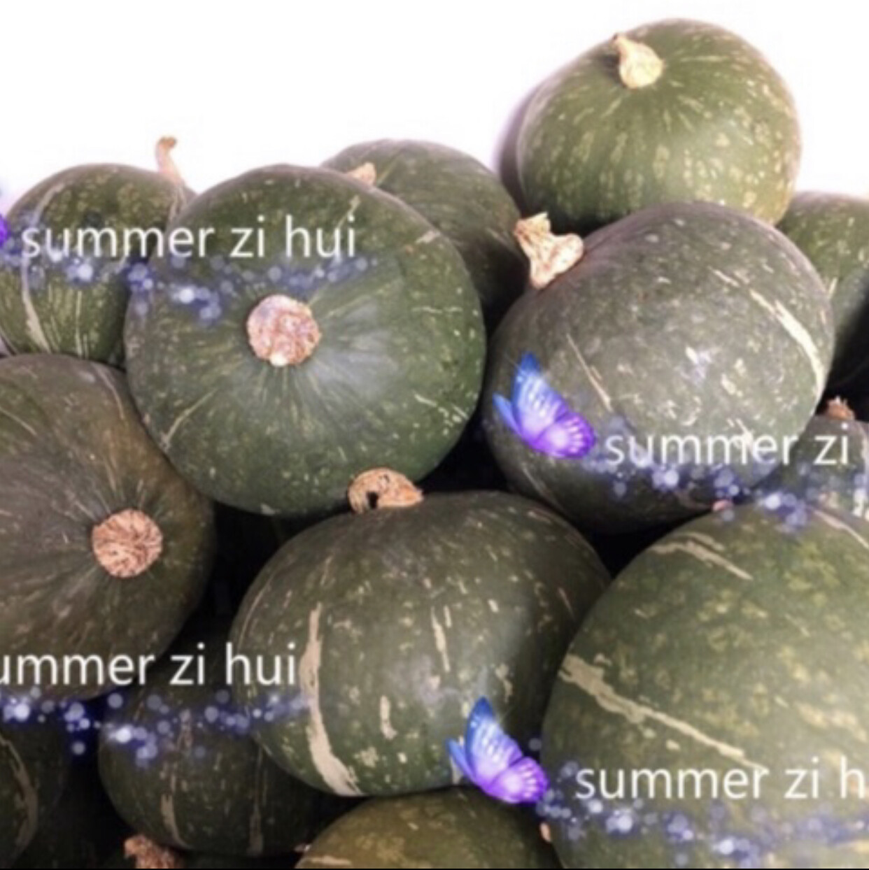 【ship every week】Japanese Pumpkin/ Pumpkin/ Labu/ Labu Jepun/ Labu ...