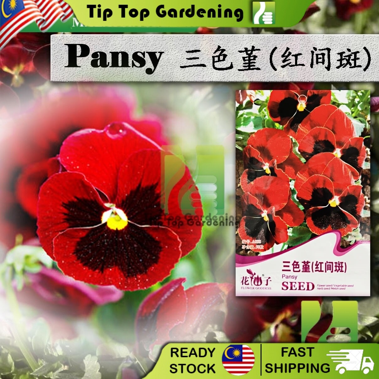 【EXPIRED】BIJI BENIH A088 PANSY FLOWER GODDESS VEGETABLE FLOWER FRUIT ...
