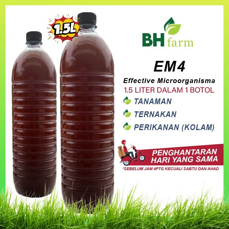 ♟(1.5LITER) EM4 Effective Microorganisms EM4 Penternakan EM4 Perikanan ...