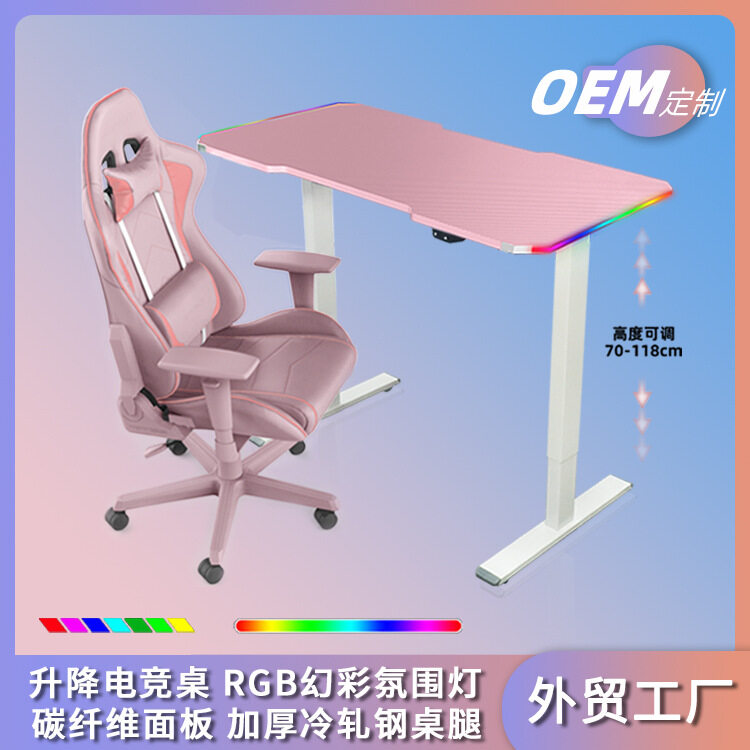 120*60cm Pink Standing Table for Ladies Girl Office Setup with LED | Lazada