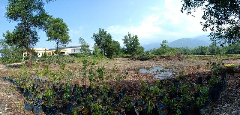 SIPUTOX - SNAIL KILLER / SNAIL REPELLENT(500gram) - Jinjin shop ...