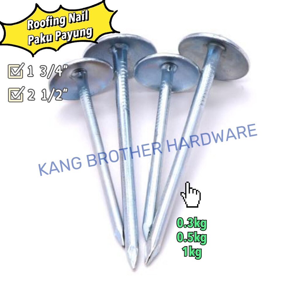 GALVANISED MILD STEEL IRON ROOFING NAIL | PAKU BUMBUNG ATAP & ZINC ...