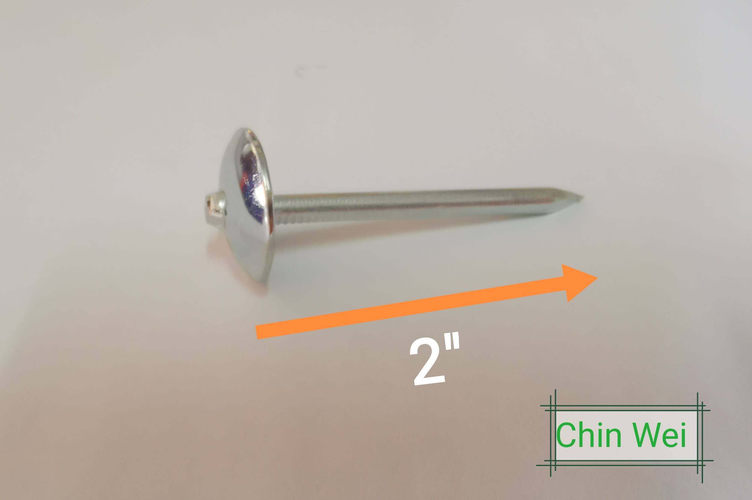 2 Inci Paku Bumbung Paku Payung Paku Attap Zink Roofing Nails Galvanized Roof Nail 2